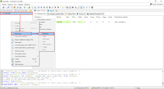MariaDB Create Database Tables Columns Manage Databases Using HeidiSQL ...