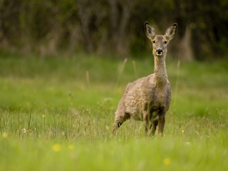 Bicicletas, ciudades, viajes...: abril 2011