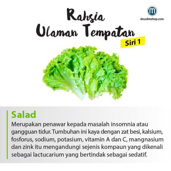 Kebaikan Ulam Dan Sayur | Blog Sihatimerahjambu