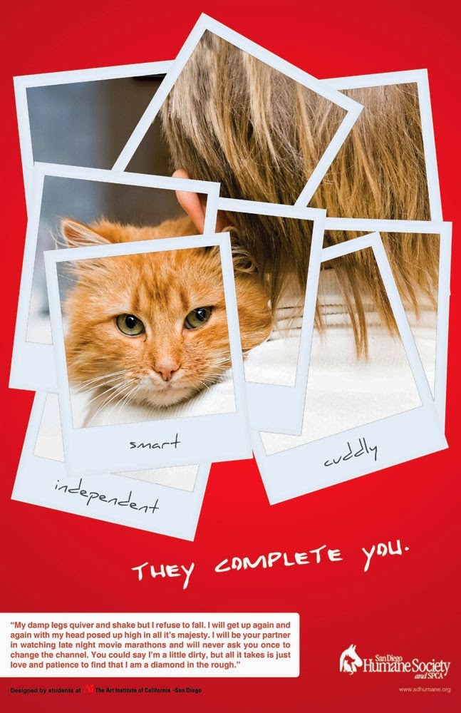 Humane Society Ad Campaign - test345
