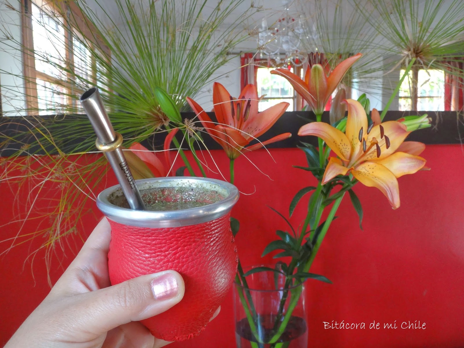 Bitacora de mi Chile: Yerba Mate y Nuestra historia