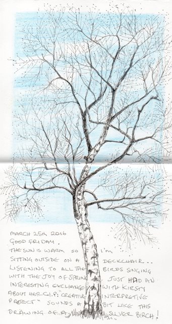 Sketching in Nature: SILVER BIRCH