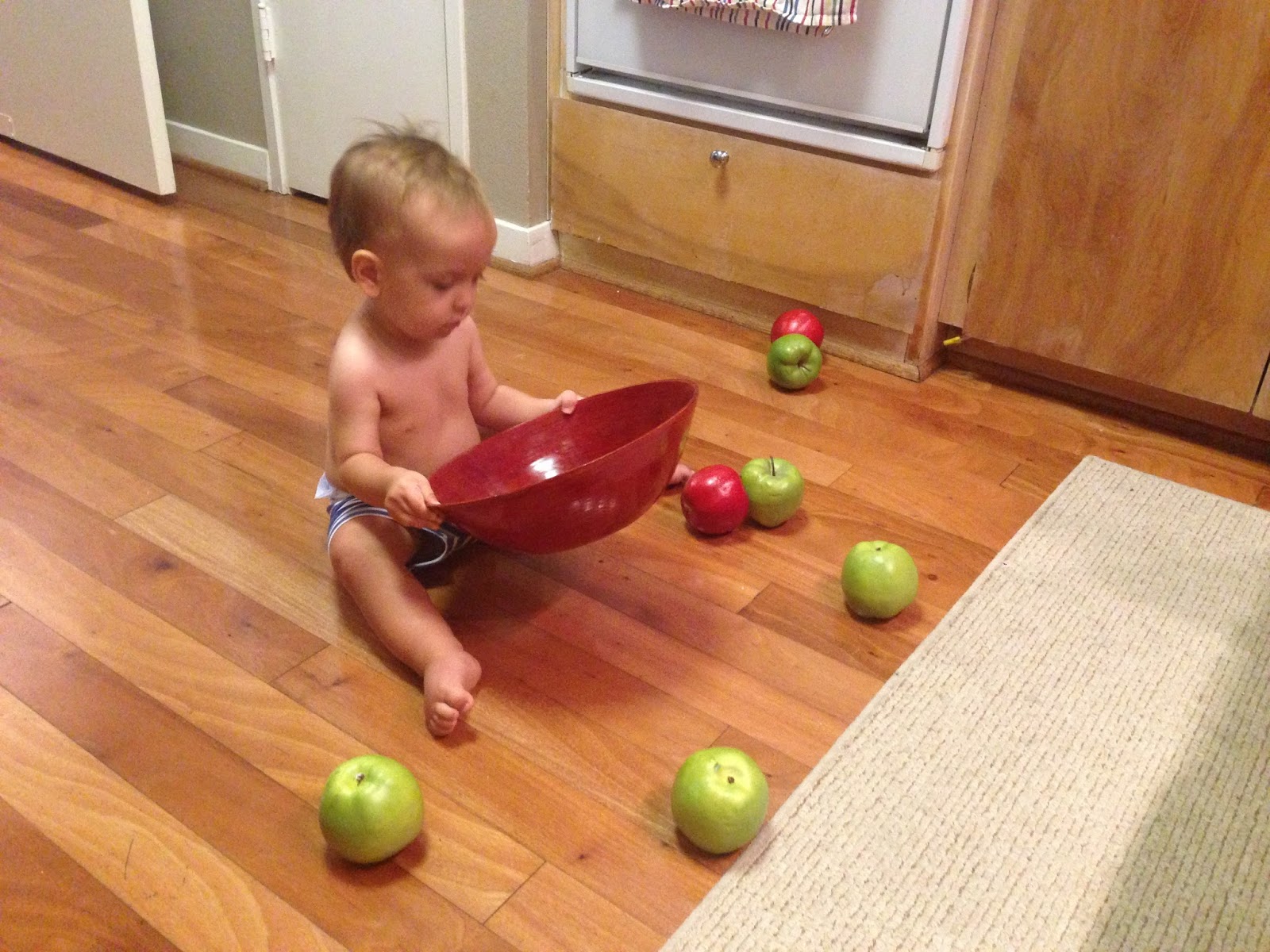 Lisa Bender Thiel: The Other White Milk