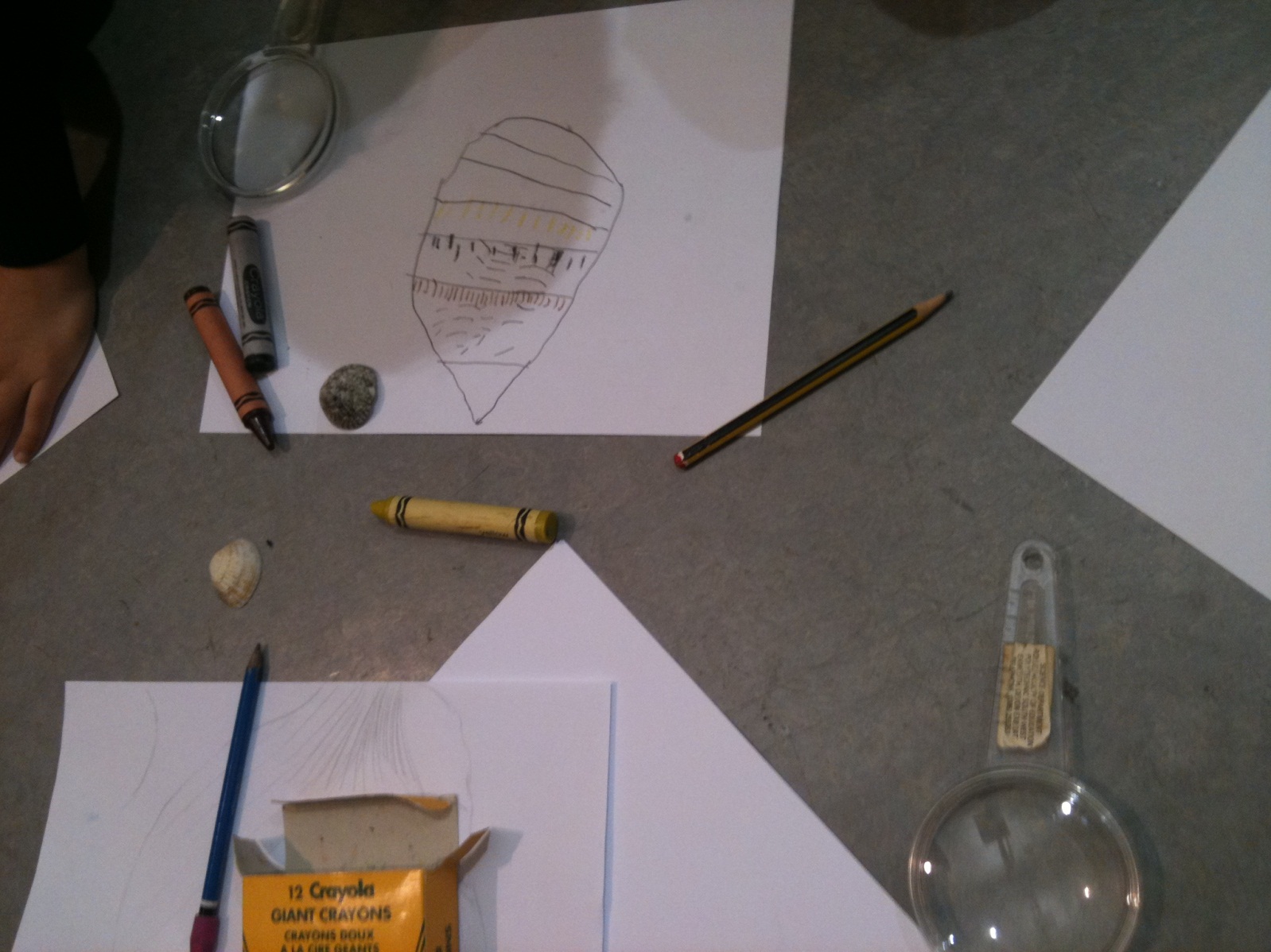 Science Observation Lesson