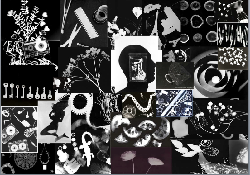 Esther Purnell AS photography: Photograms