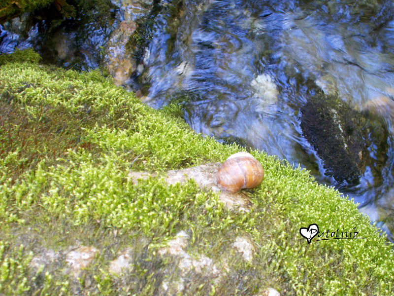 Izvor reke Ibar - Putoljub