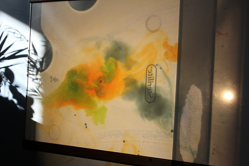 Play At Home Mom LLC: Projected Colors