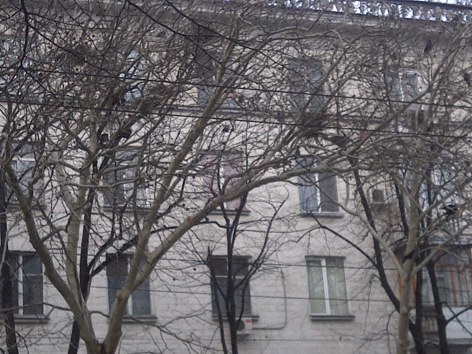 This is My Way: KIEV-KISHINEV-MOSCOW TRIANGLE