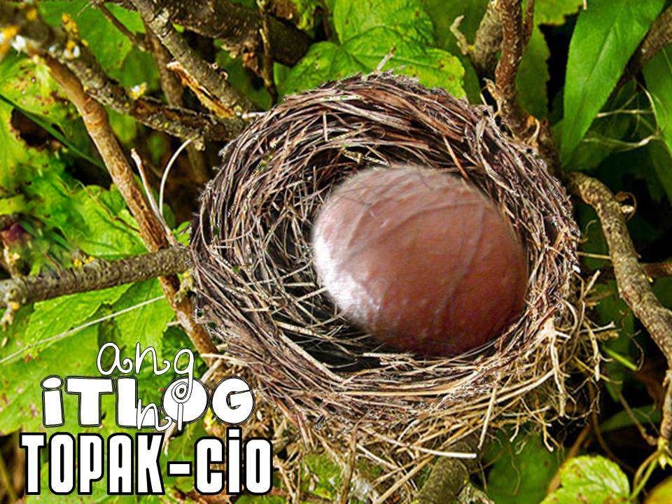 RONNIE'S BAWAL ANG NAKASIMANGOT DITO: NAKITA NA ITLOG NI TOPACIO