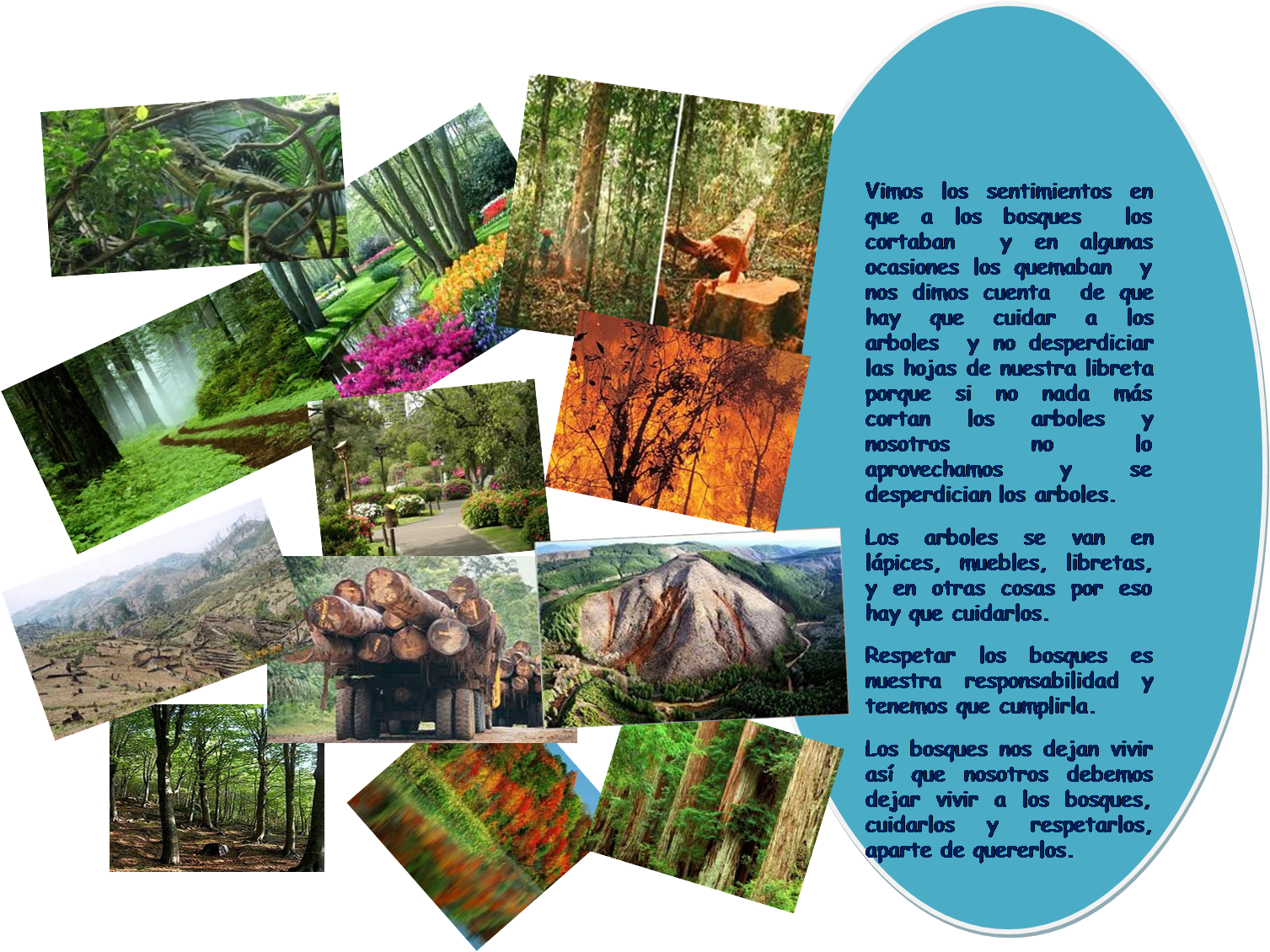 Región Neotropical - Bosques: Región Neotropical - Bosques