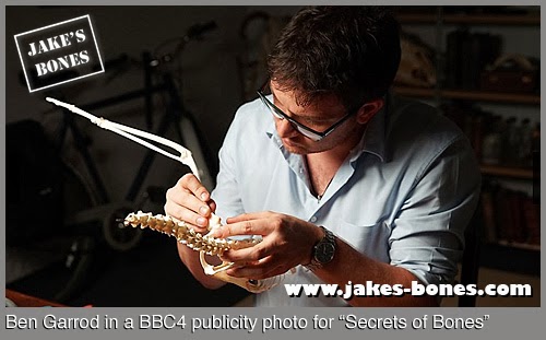 Interviewing Ben Garrod of "Secrets of Bones" : Jake's Bones