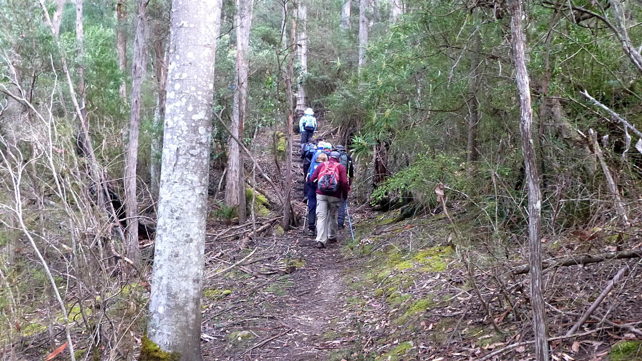 Ramblings: Nierinna Creek Tramway Hill Margate Rivulet 2015