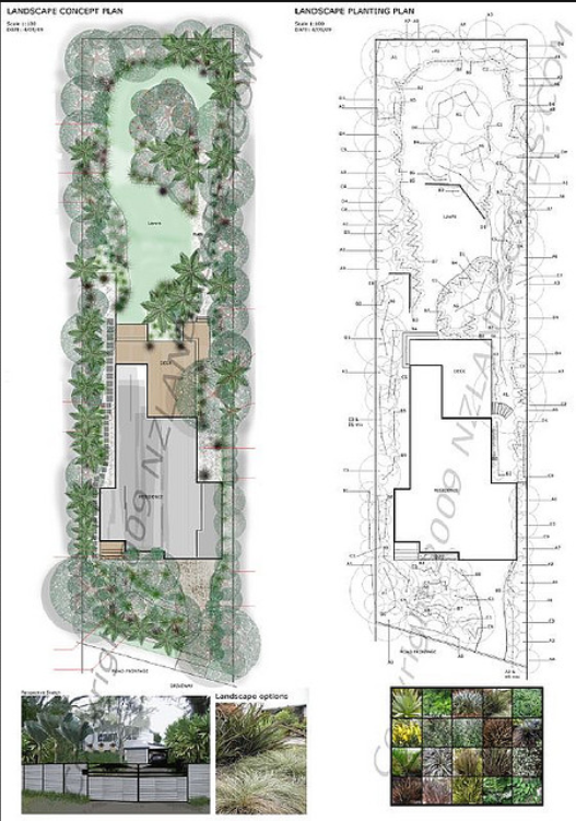 Landscape Planting / Concept plan New Zealand.