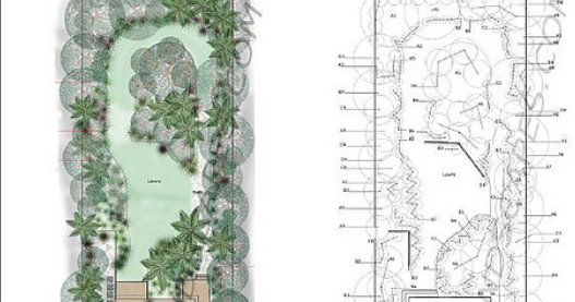 Landscape Planting / Concept plan New Zealand.