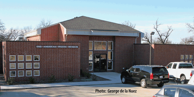 AMERICAN RACING PIGEON UNION: The American Pigeon Museum - AU's Next ...