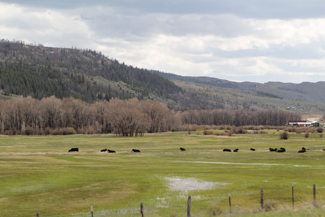 Russ and Rob's Travels: Denver to Tenton National Park