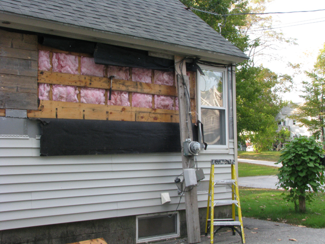 A Haven for Vee: Ditto