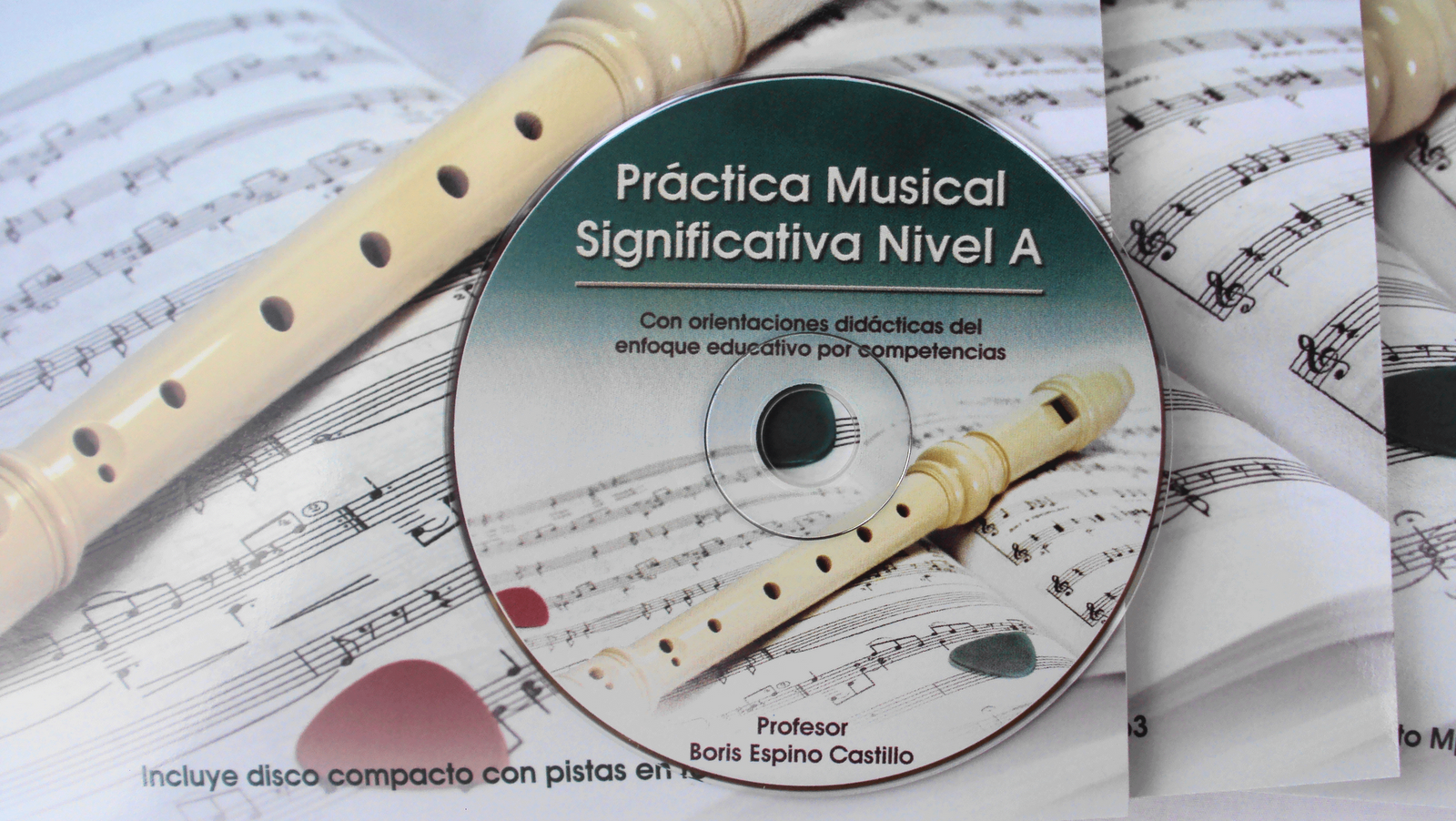 Práctica Musical Significativa: 03/01/2011 - 04/01/2011