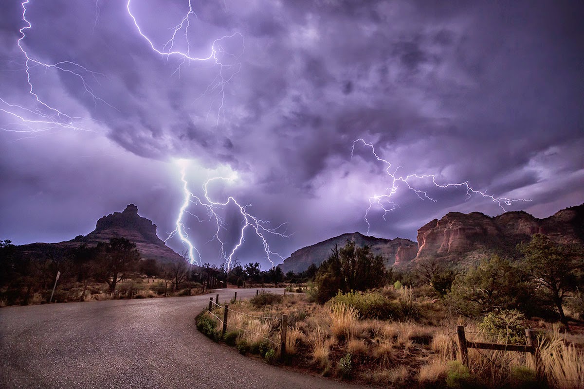 :: Alexandra Proaño 3D - Green Pear Diaries ::: Scott Stulberg, la ...