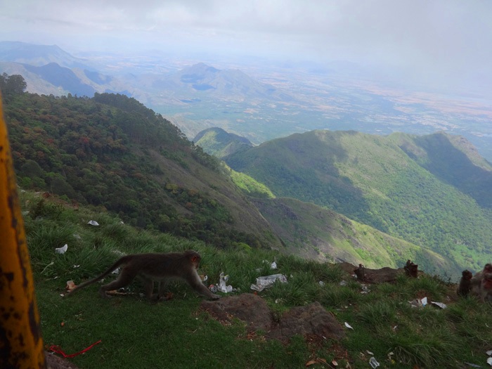 Tamilnadu Tourism: Green Valley View, Kodaikanal