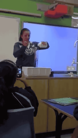 Chuck's Fun Page 2: Three entertaining GIFs