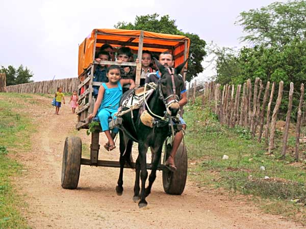 ESTUDOS DE GEOGRAFIA: ÊXODO RURAL