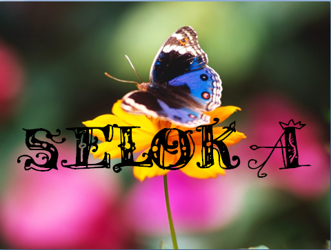 PUISI TRADISIONAL SELOKA