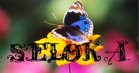 PUISI TRADISIONAL SELOKA