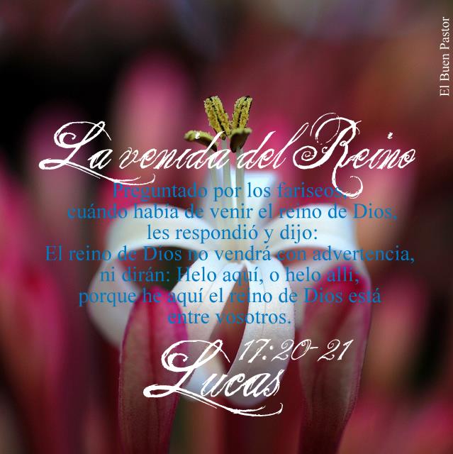 YO SOY EL BUEN PASTOR: Lucas 17:20-21