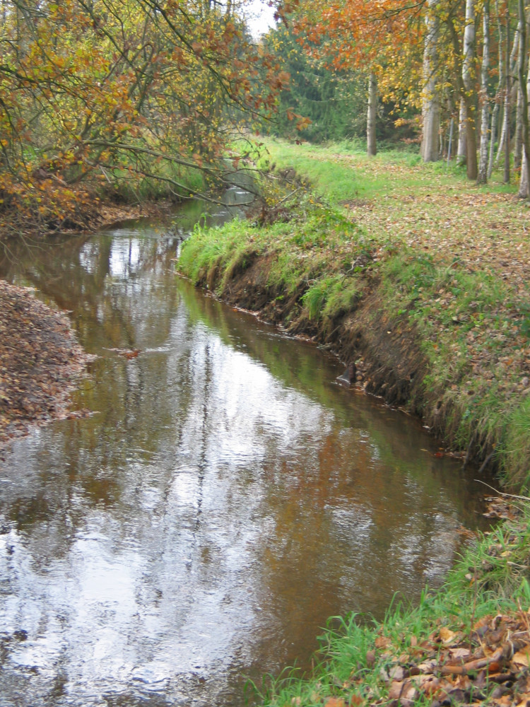 ONFF Blog: ONFF-0699 Molse Nete