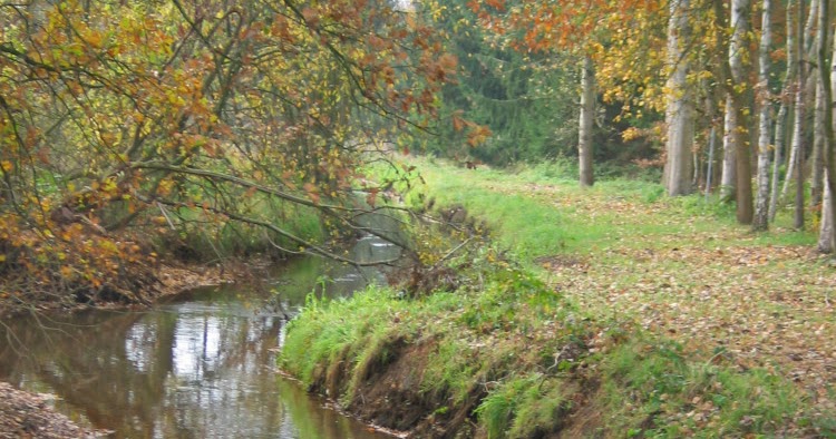 ONFF Blog: ONFF-0699 Molse Nete