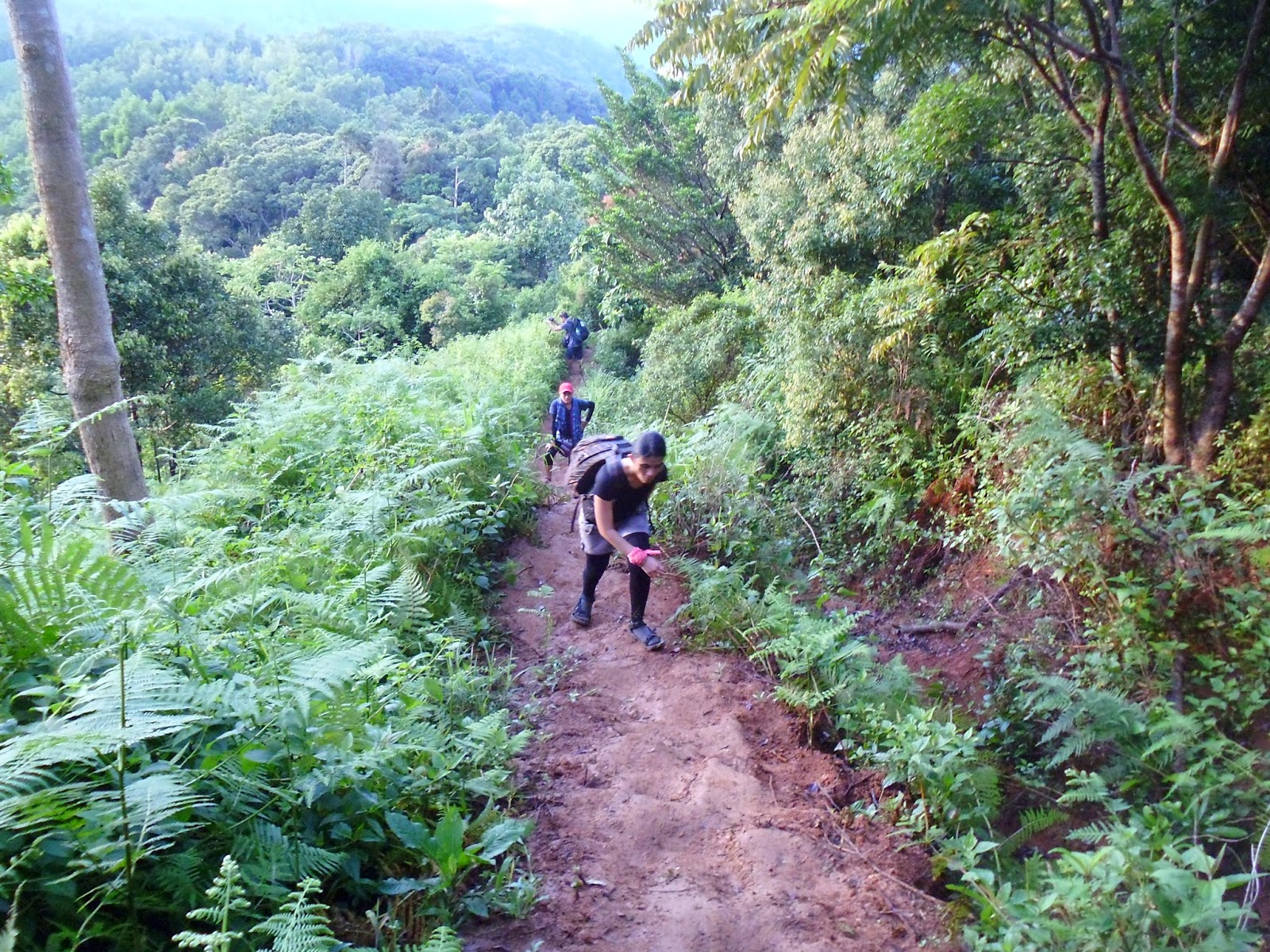 Mt. Mariveles: Tarak Ridge | Kseizetheday