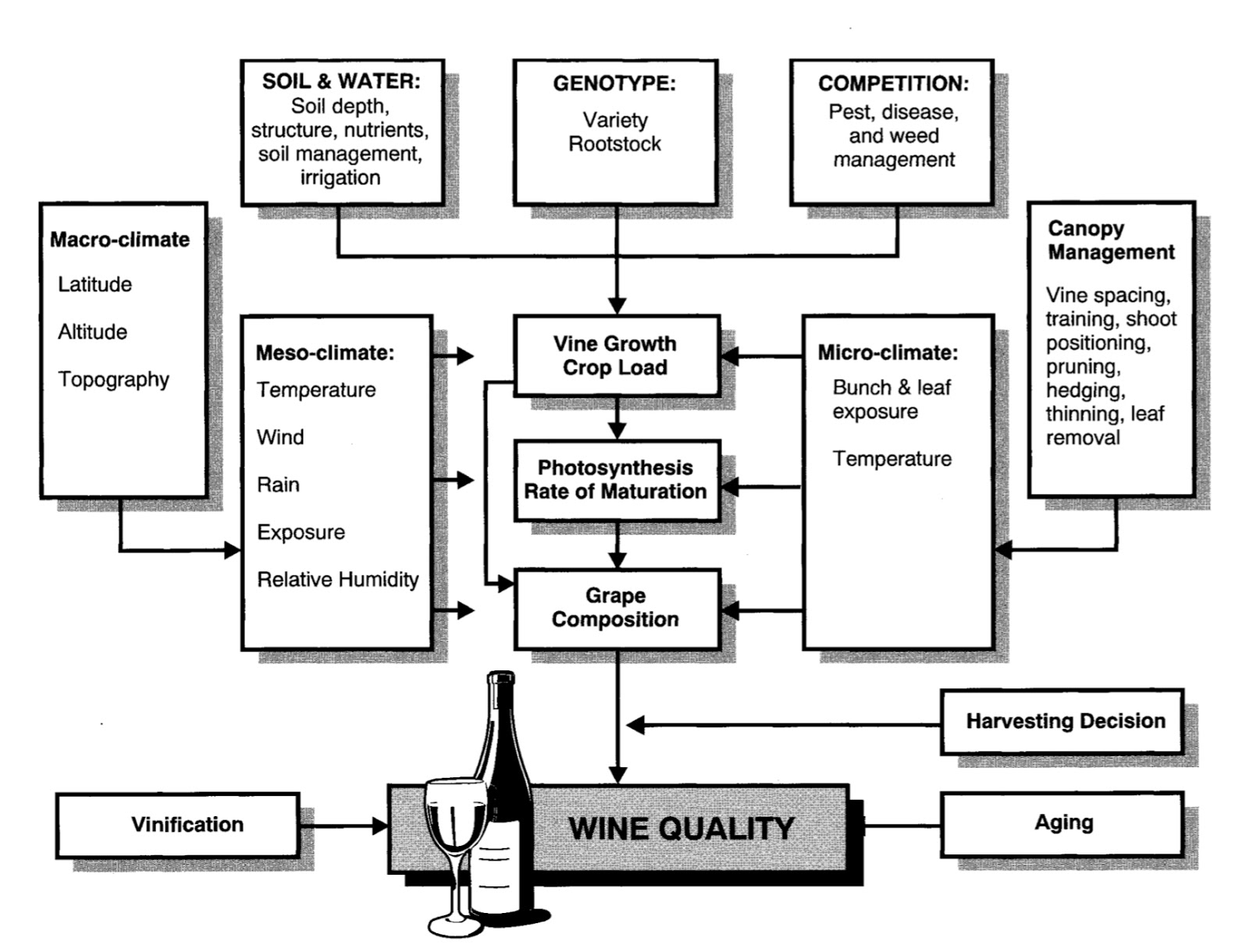EnoViti: In Search of Wine Quality: Vineyard Location