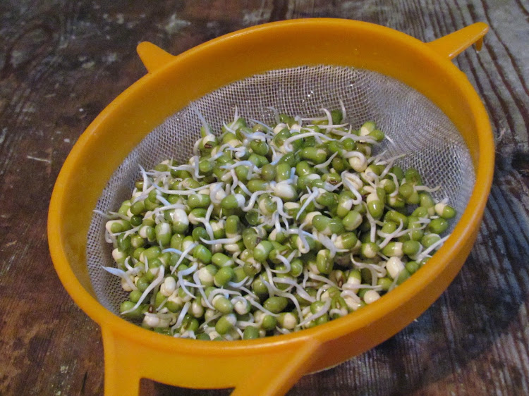 Shoots and Tendrils: Papri Chaat or Indian nachos!