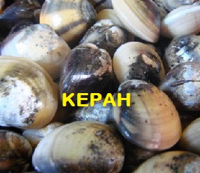 Anim Agro Technology: KEPAH