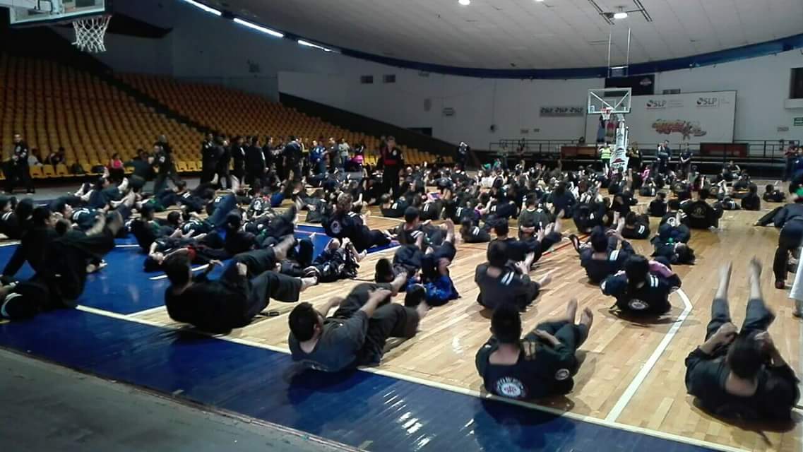 LA IMPORTANCIA DEL DEPORTE MARCIAL: HISTORIA DEL LIMA LAMA