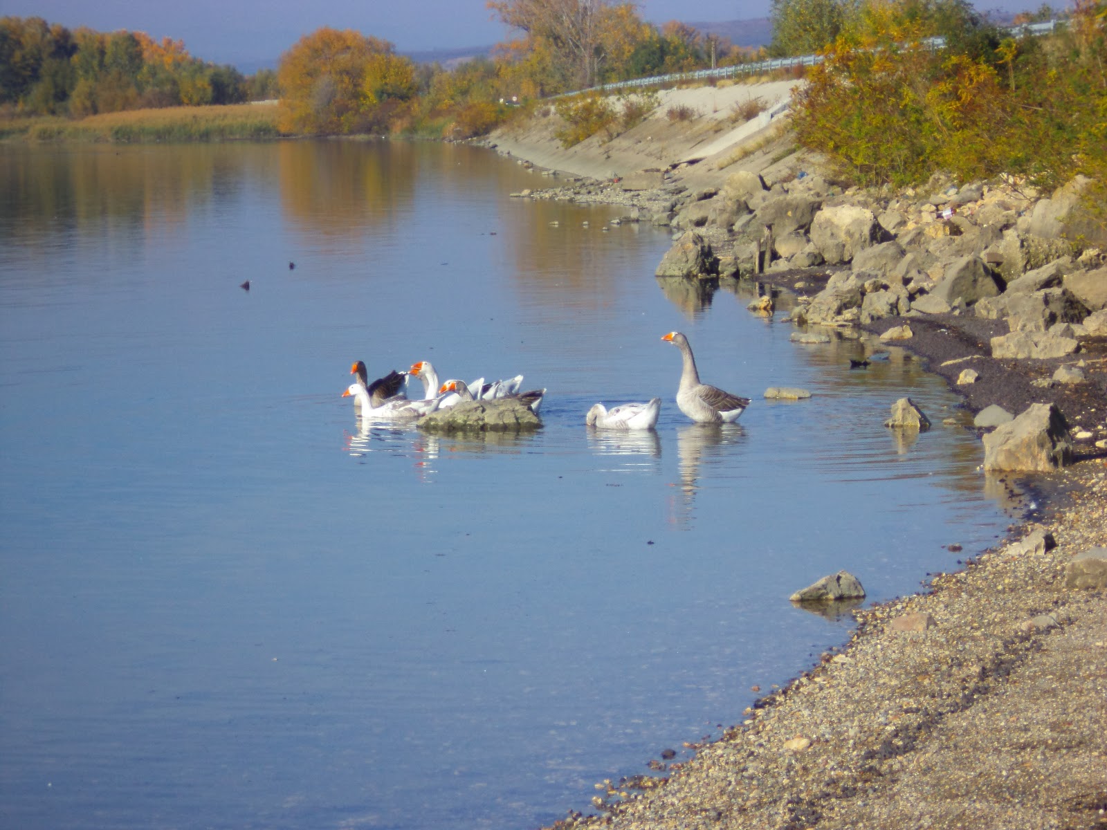 Romania... la pas: Fluviul Dunarea
