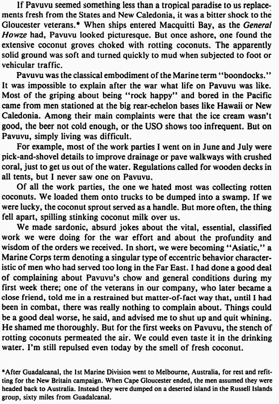 Through Peleliu And High Water: May 20, 1944 - Pavuvu