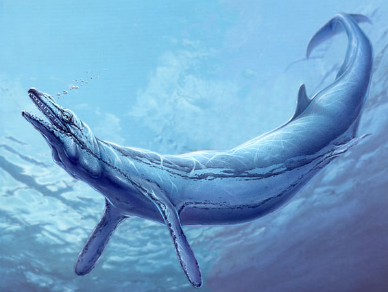 "And speaking of which...": Mississippi's Prehistoric Whales