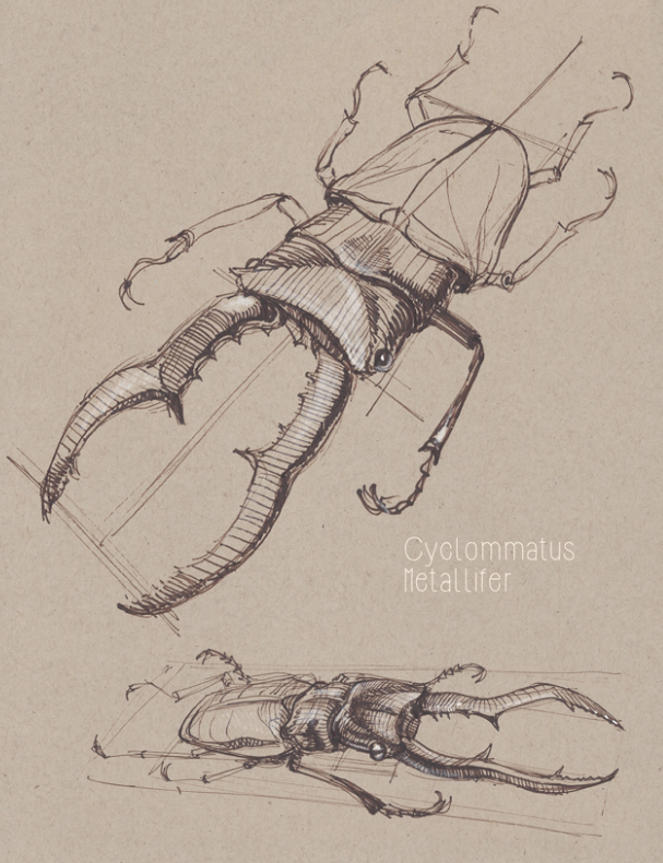 Warrior Spirit, Artist Heart: Dynamic Sketching with Peter Han