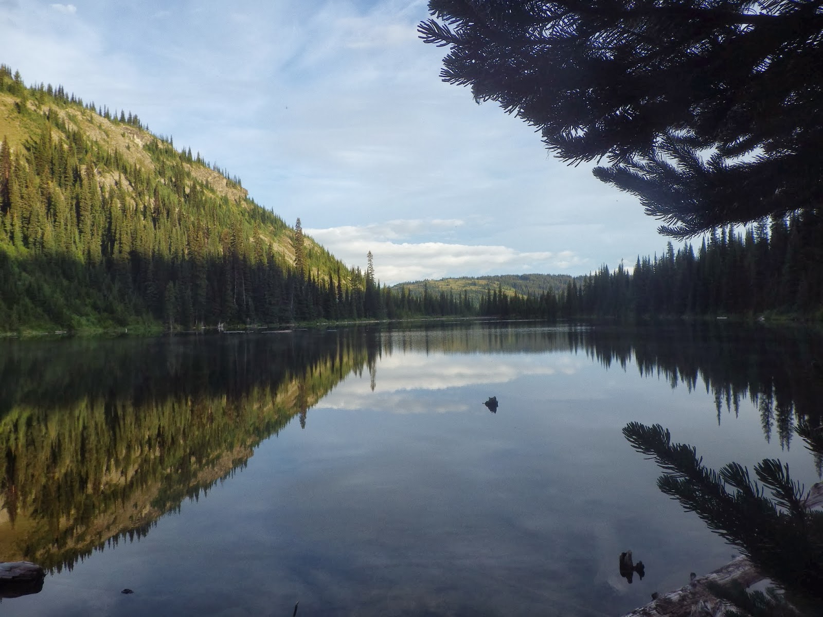 Trail Effect: 2013 FatDog 120 Race Report - Part 2