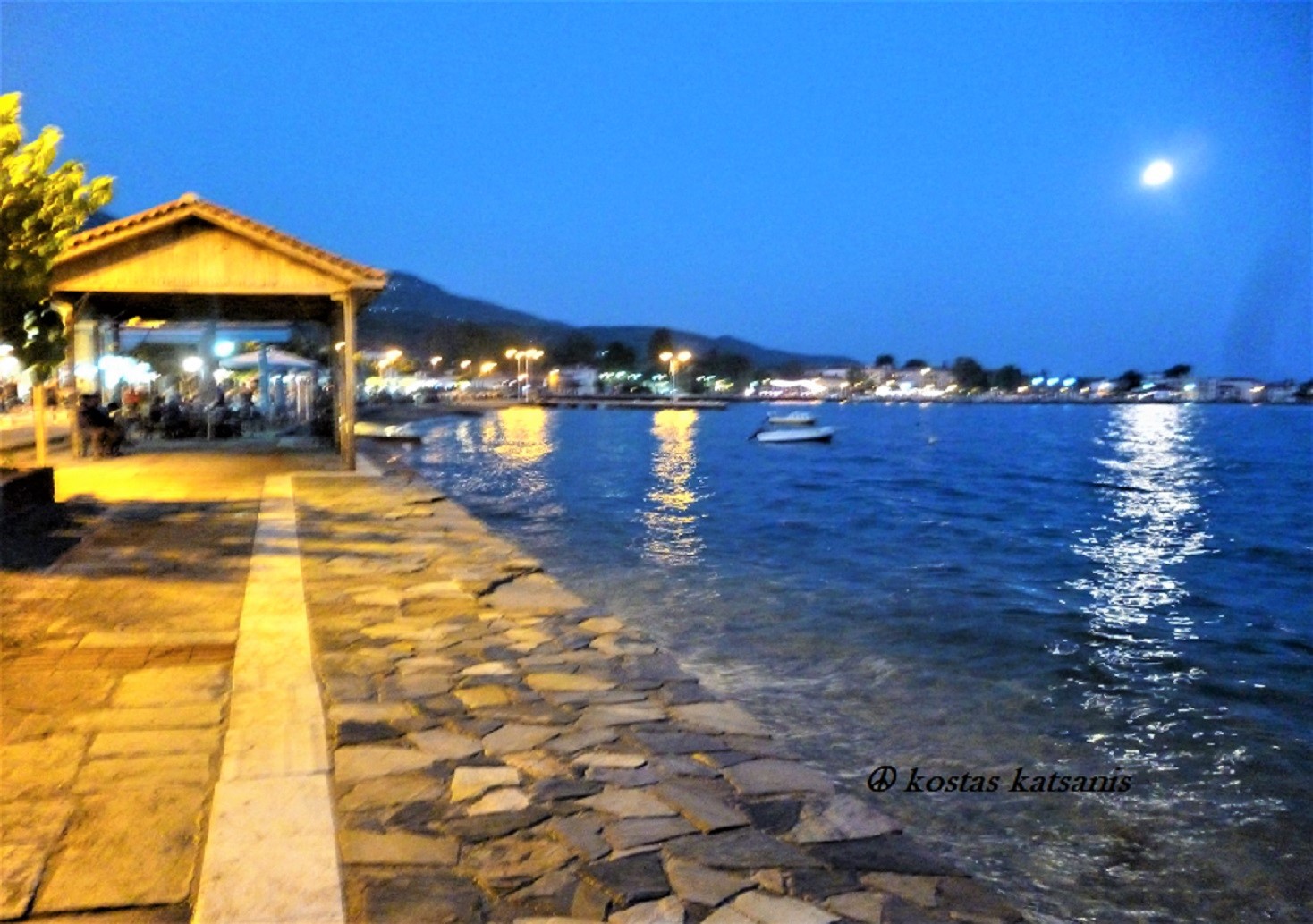 ☮ ΒΟΛΟΣ ΠΗΛΙΟ ΜΑΓΝΗΣΙΑ : ΑΓΡΙΑ ΒΟΛΟΥ.. Ιδιοκτήτης ταβέρνας επιτέθηκε ...