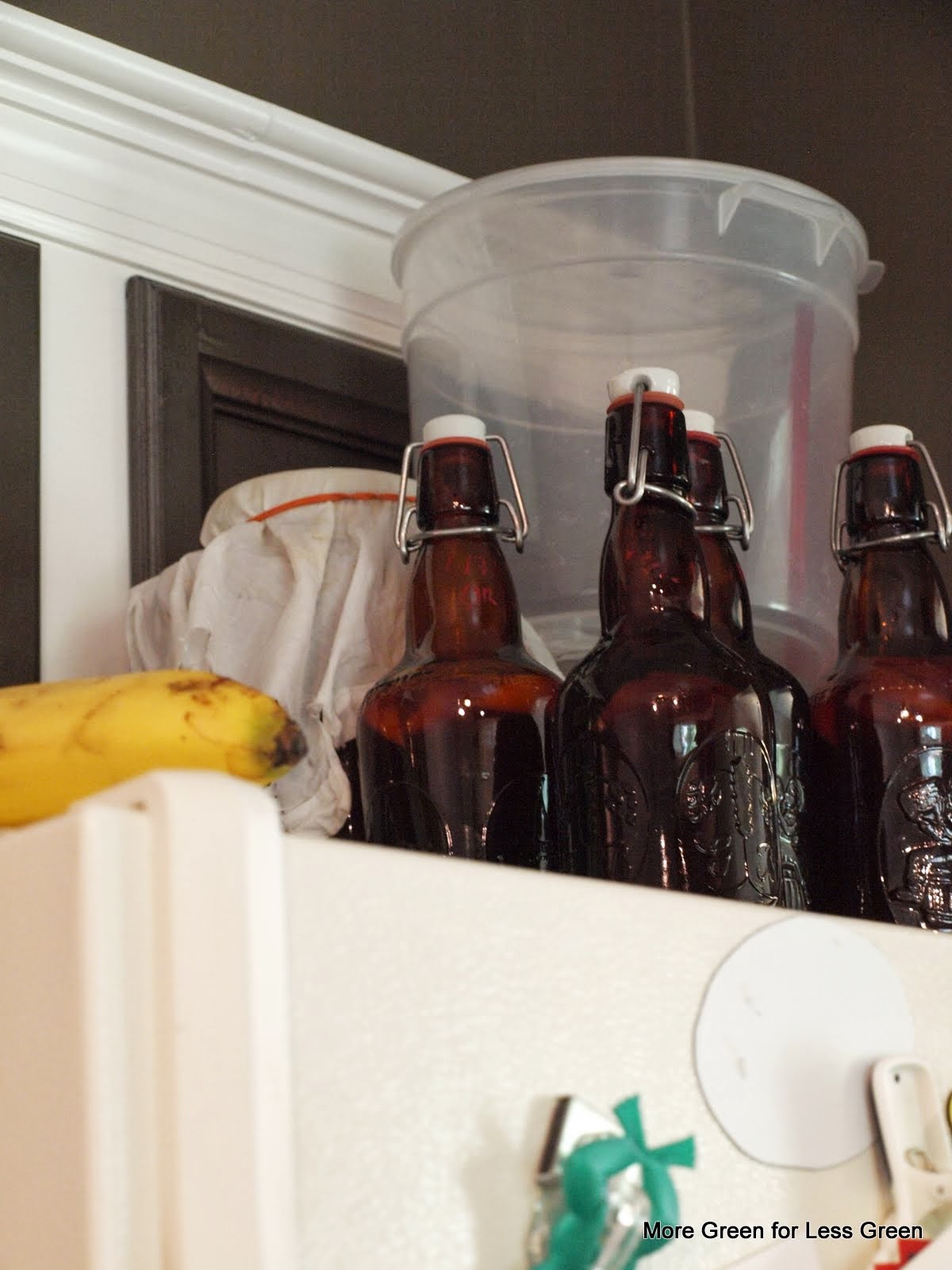 More Green For Less Green: Brewing Kombucha: Step-by-Step