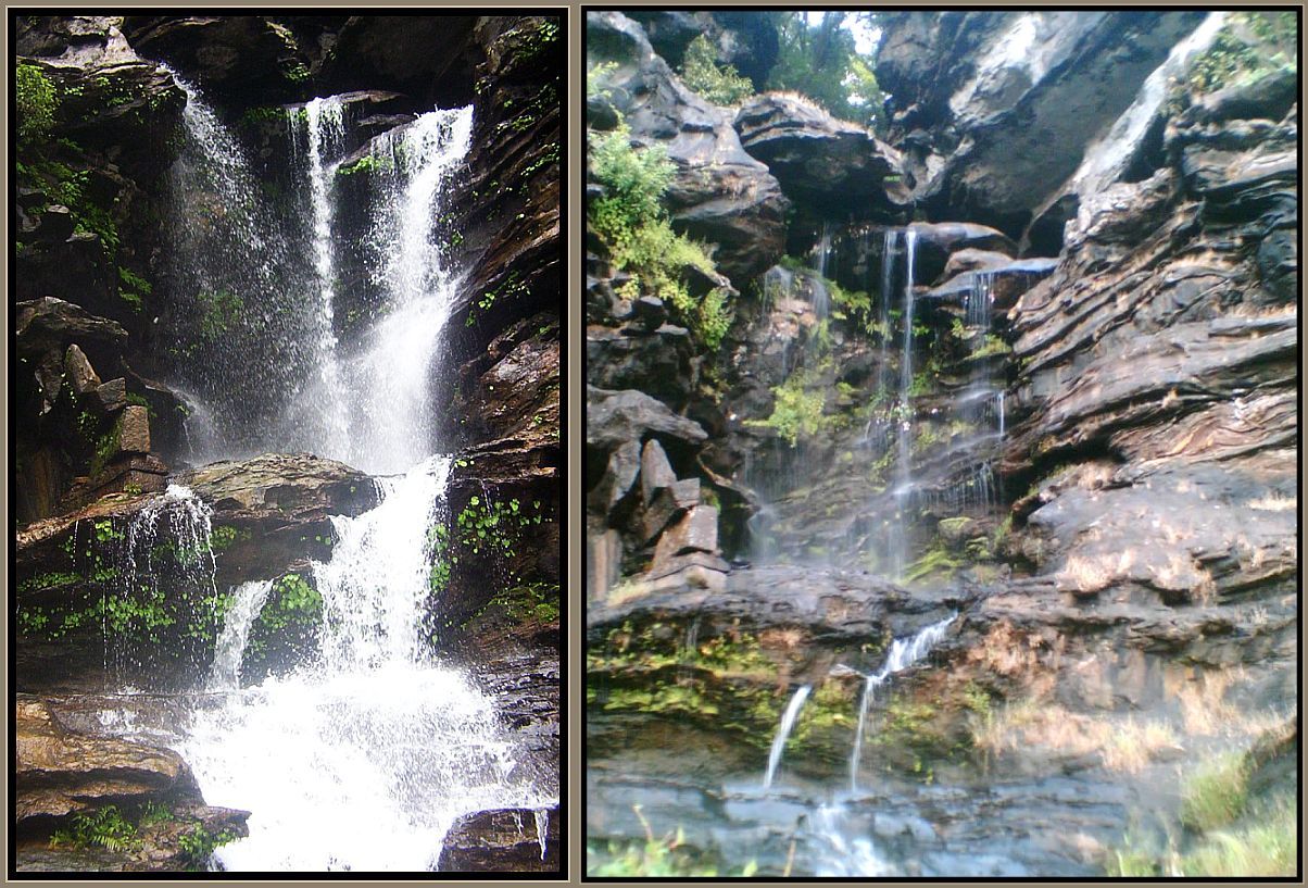 The Voice of Greenery - Trekking and Travelling in Western Ghats ...