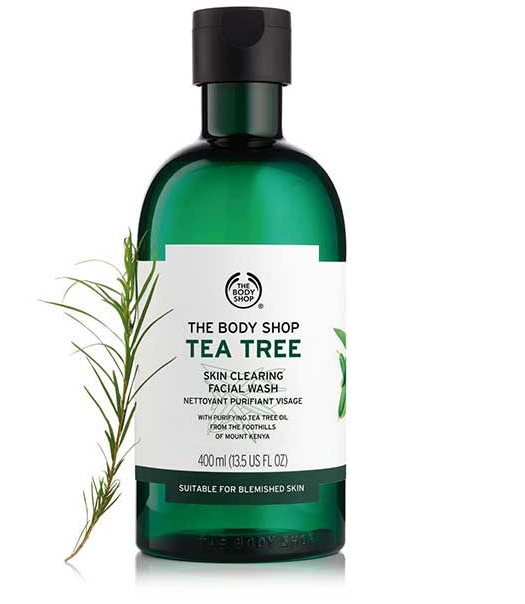 The Body Shop - Tea Tree Series Review ~ Semoongka