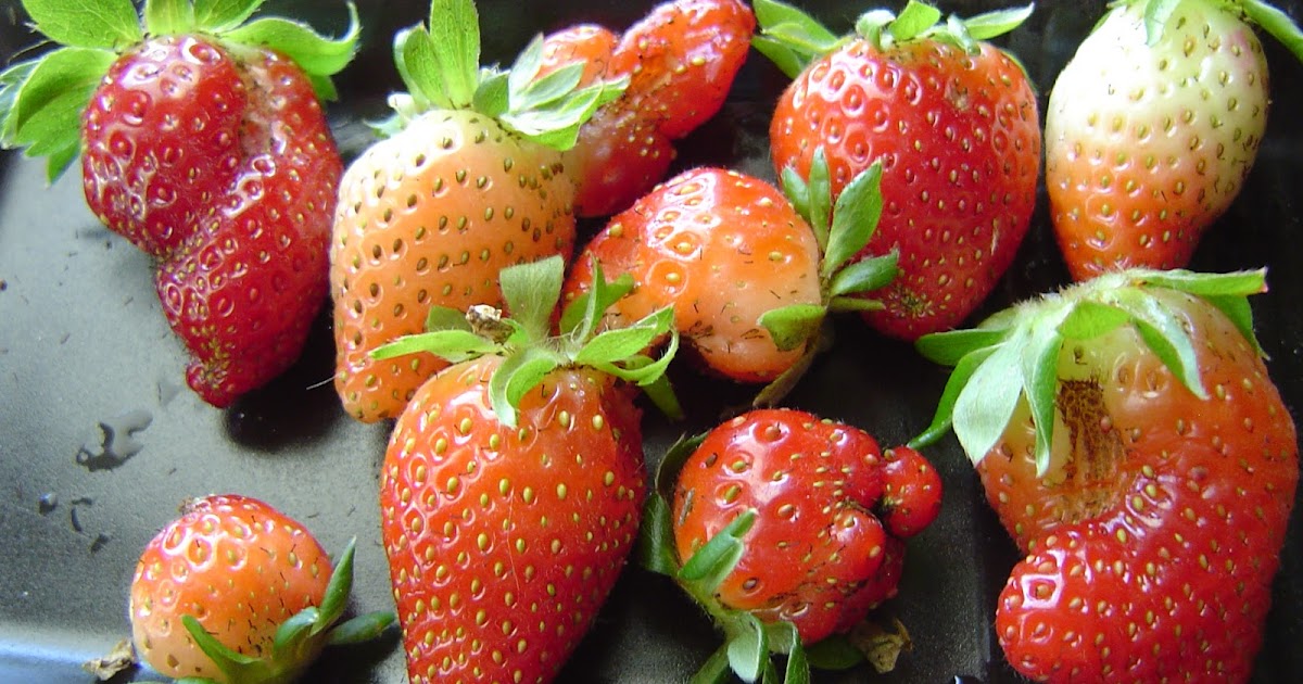 What a Healthy Family Eats: Garden Goodness: Strawberries and Potatoes