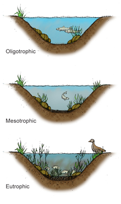 From Reefs to Rivers: Florida's Fisheries Science Blog: What’s in a ...
