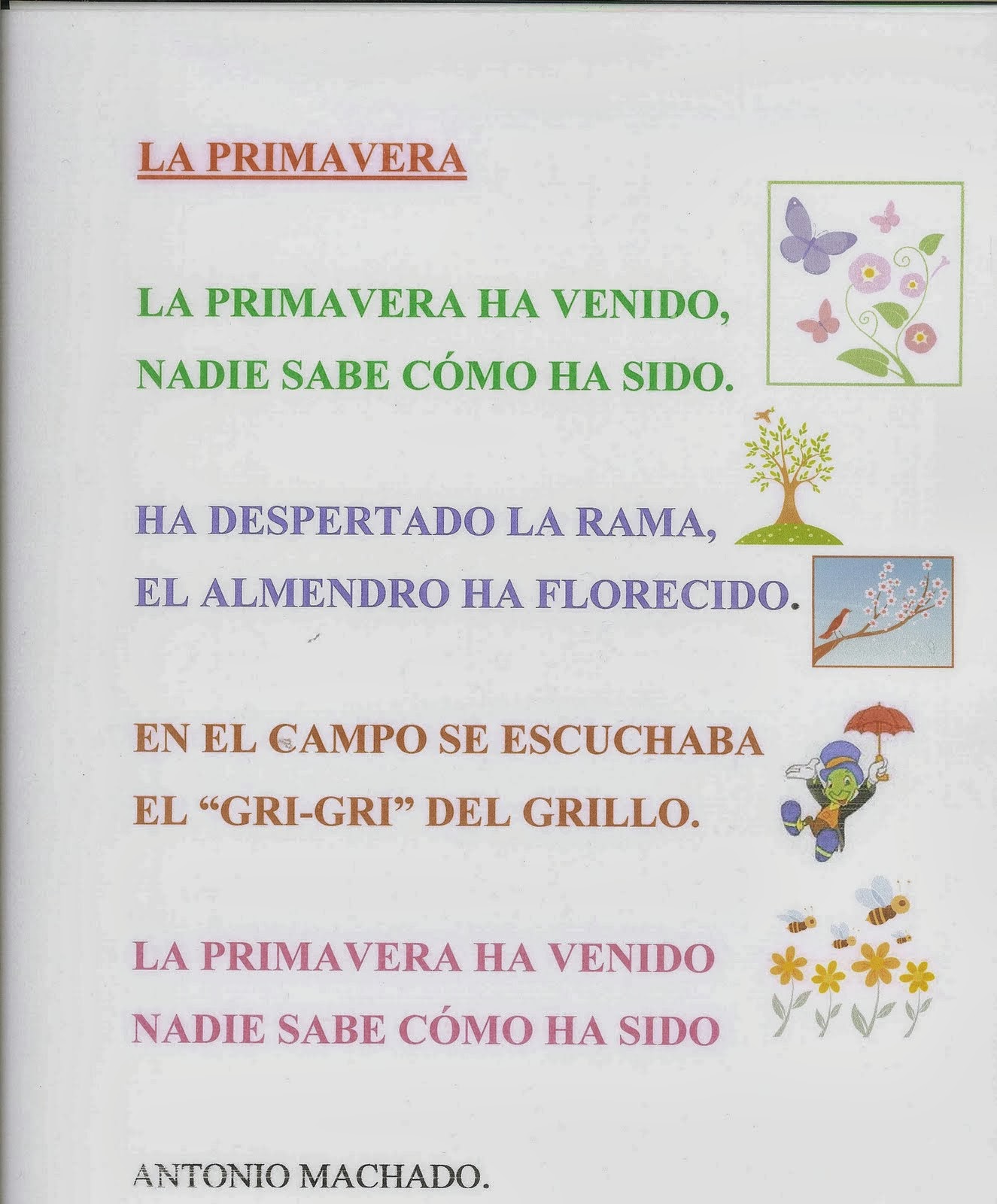 TU AULA PT: LLEGÓ LA PRIMAVERA