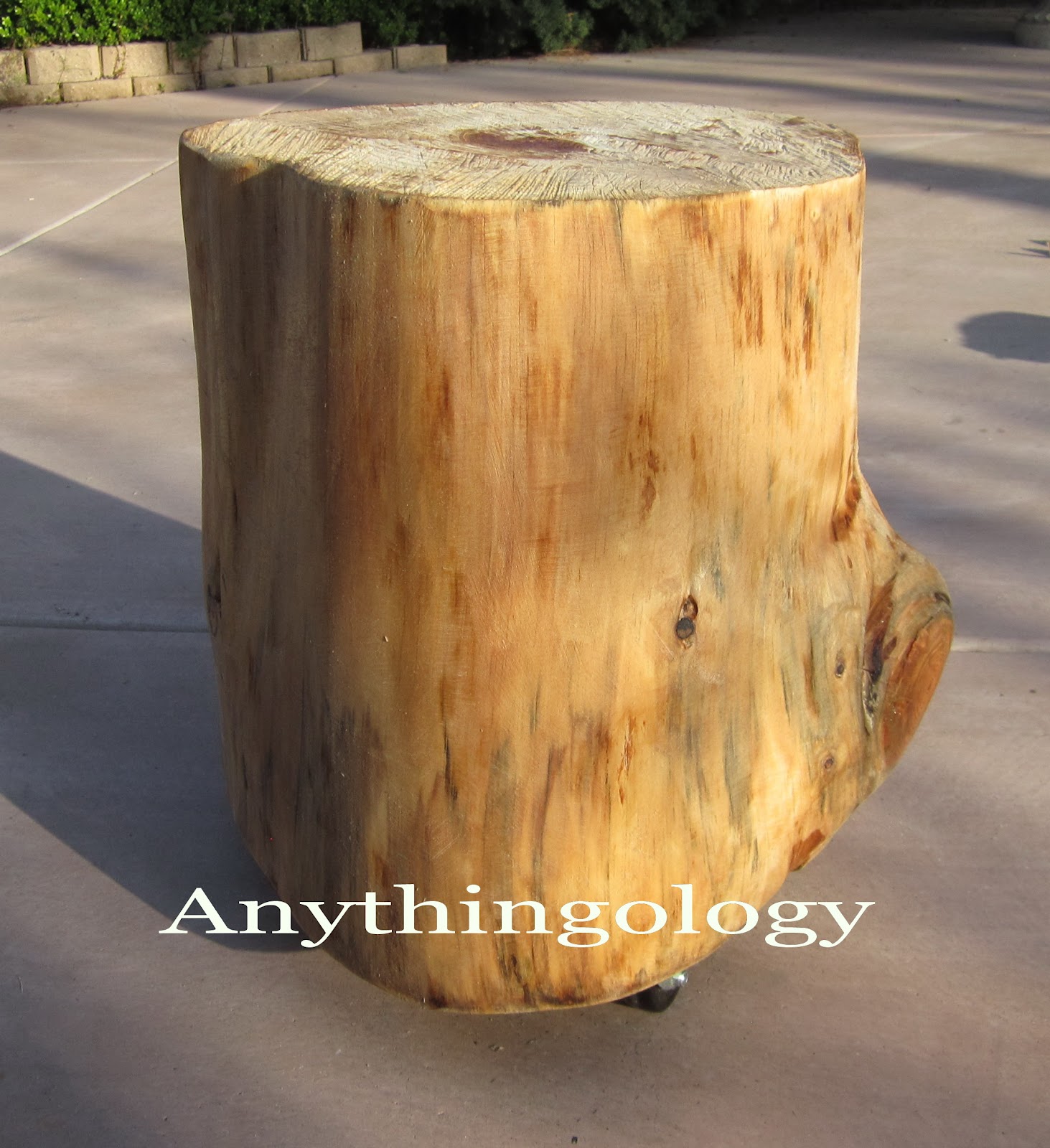 Anythingology: My leather studded stump