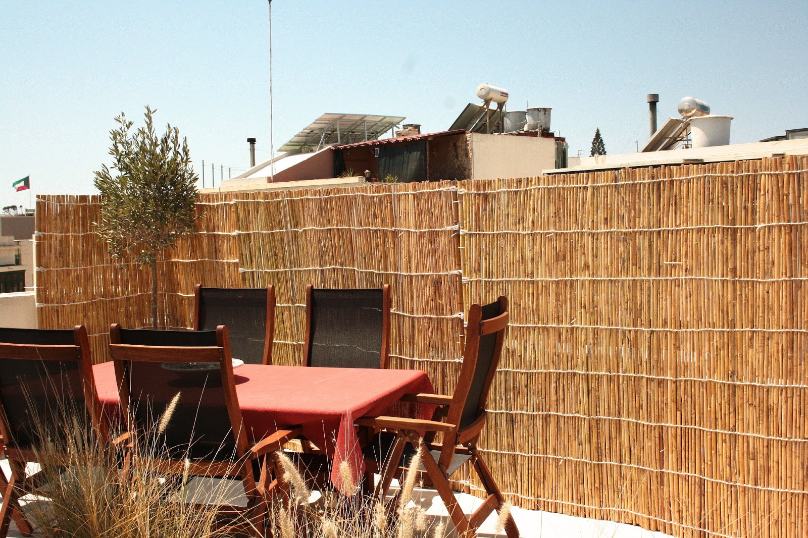 Canopy From Cane Reeds- An Old Maltese Tradition Still Alive In Malta ...
